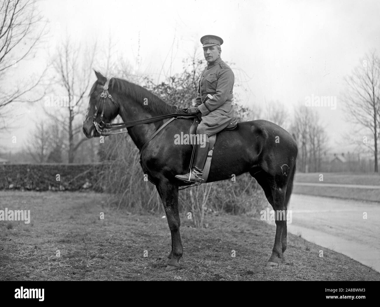 United States Army General Leonard Wood ca. early 1900s Stock Photo - Alamy