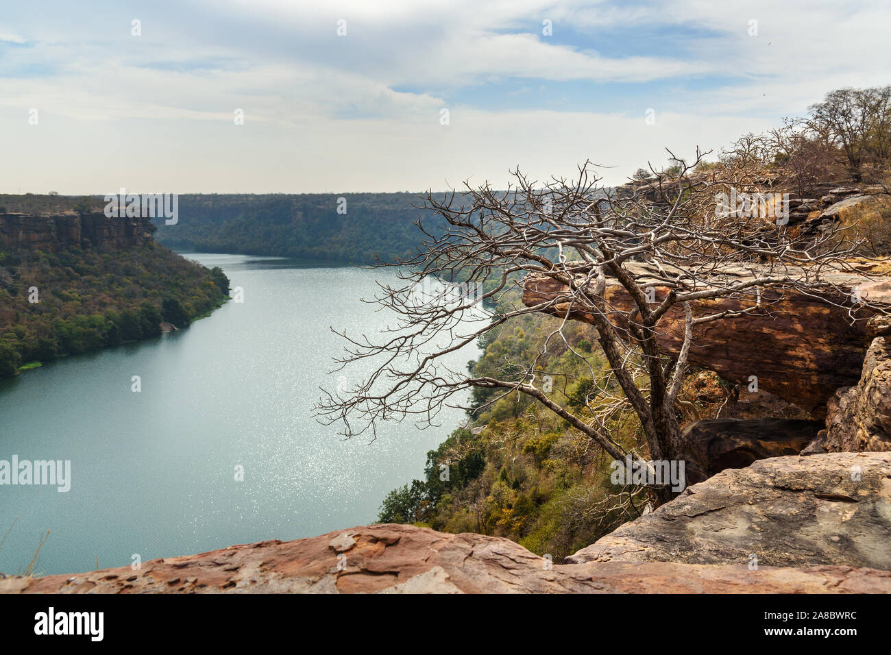River chambal hi-res stock photography and images - Alamy