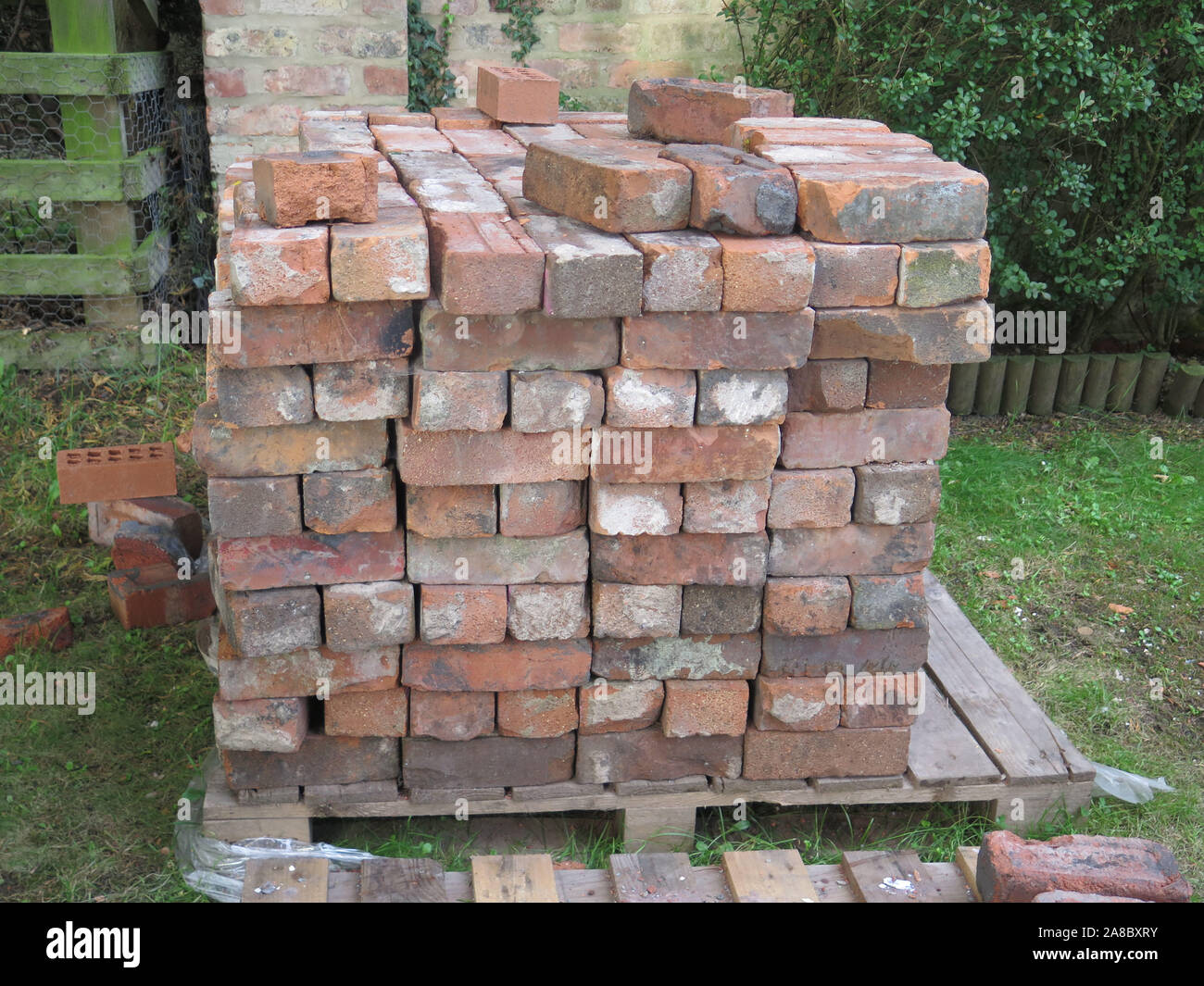 Old Yorkshire bricks stacked on pallet for use in farmhouse renovation ...