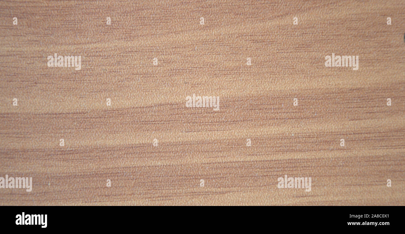 Dark beech, natural drawing of wood on a saw close-up. Background ...