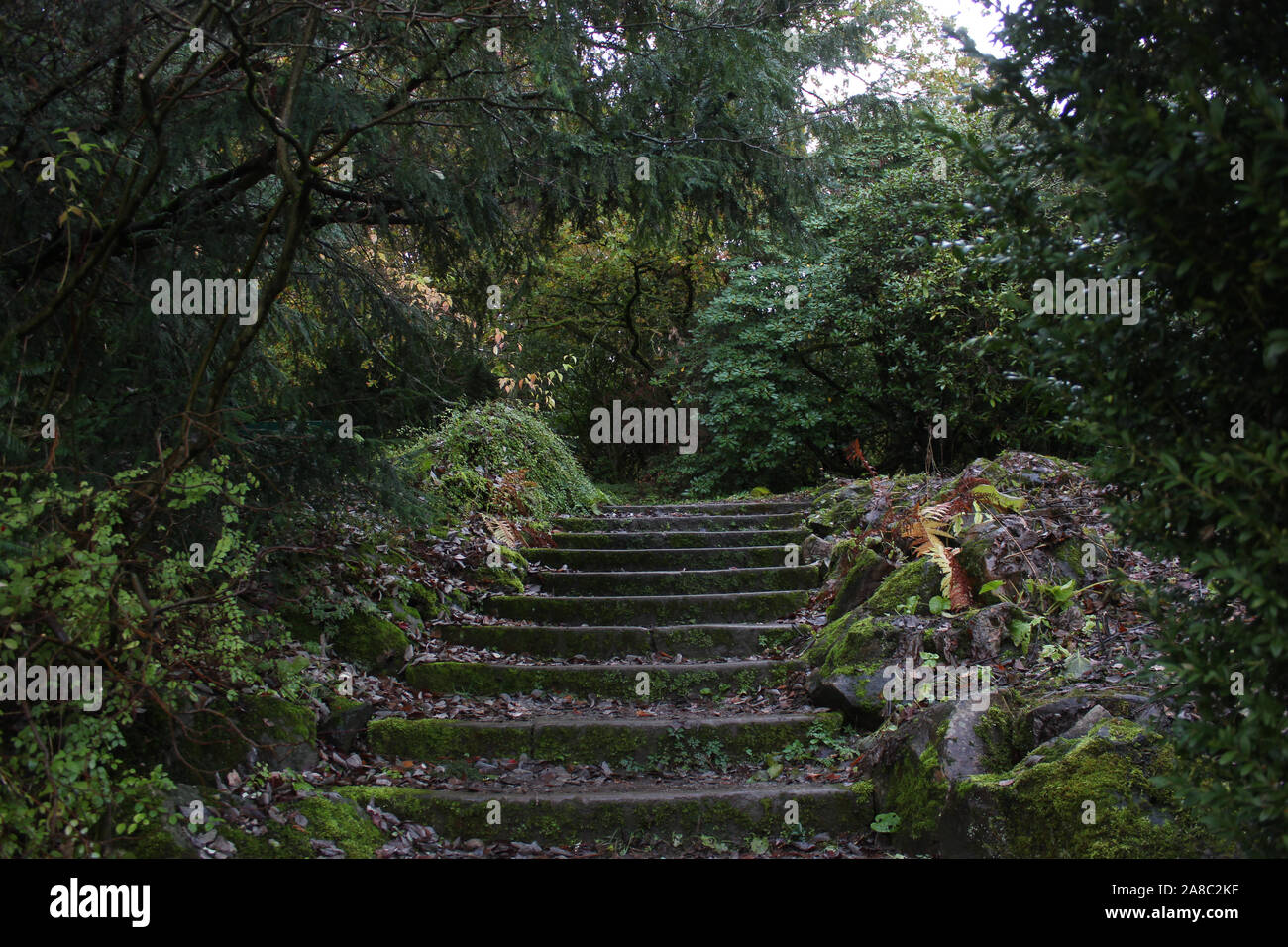 Natural stone stair hi-res stock photography and images - Alamy