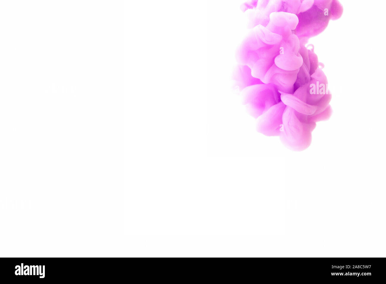 Abstract flowing liquid or purple ink in water on a white background ...