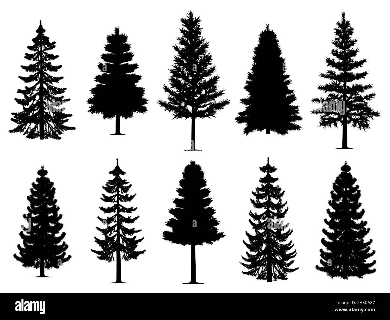 Collection of ten pine fir trees silhouettes Stock Photo - Alamy