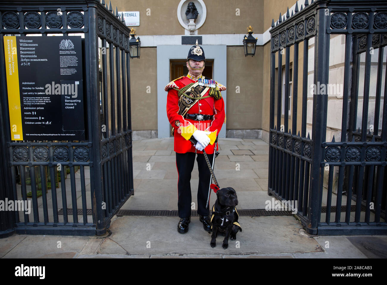 Greg Hedges the handler and Colour Sergeant Watchman V, Staffordshire ...