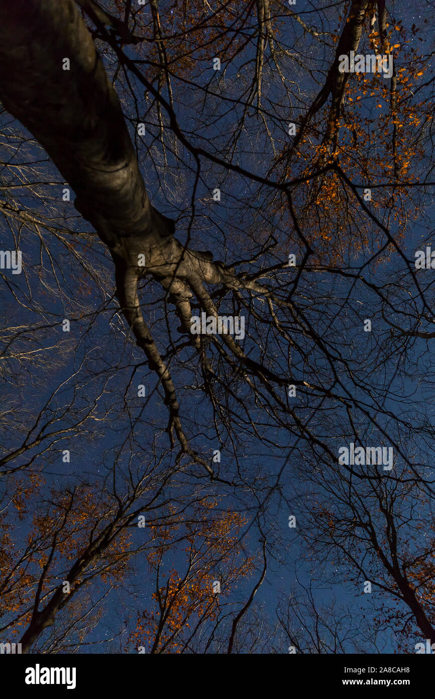 Vast landscape under the night sky hi-res stock photography and images ...