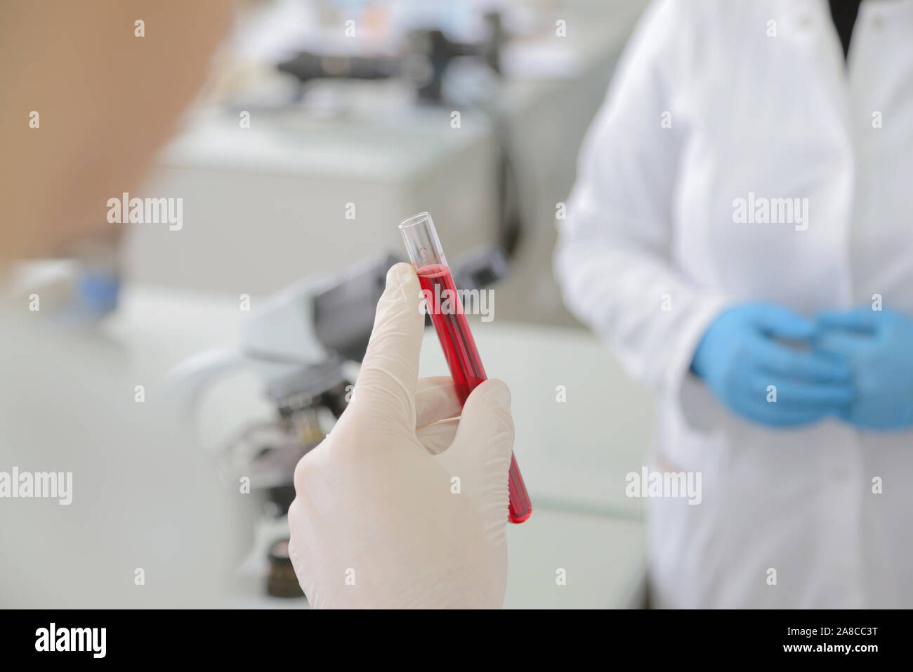 Group of young Laboratory scientists working at lab with test tubes and ...