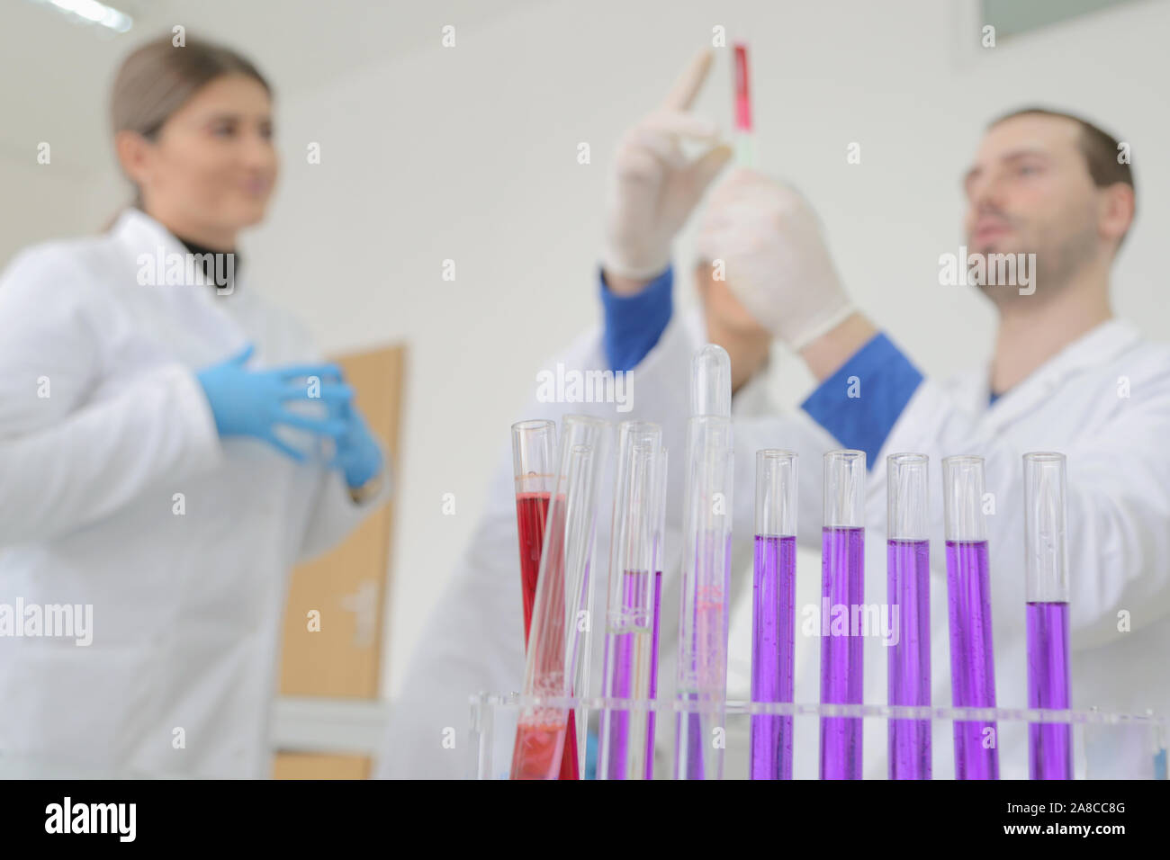 Two Young Female and male Laboratory scientists working at lab with ...