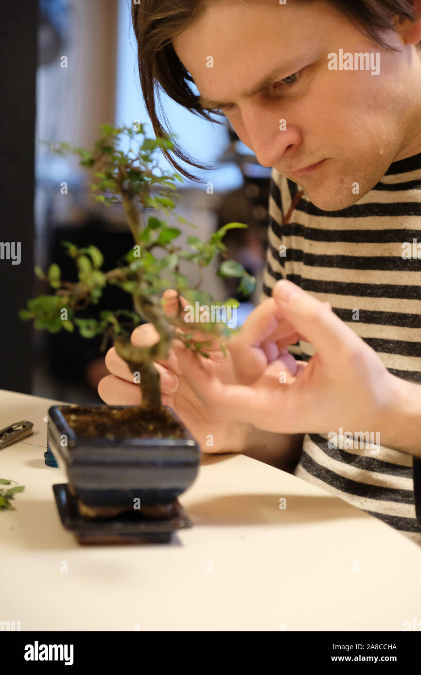 Shaping bonsai tree hi-res stock photography and images - Alamy