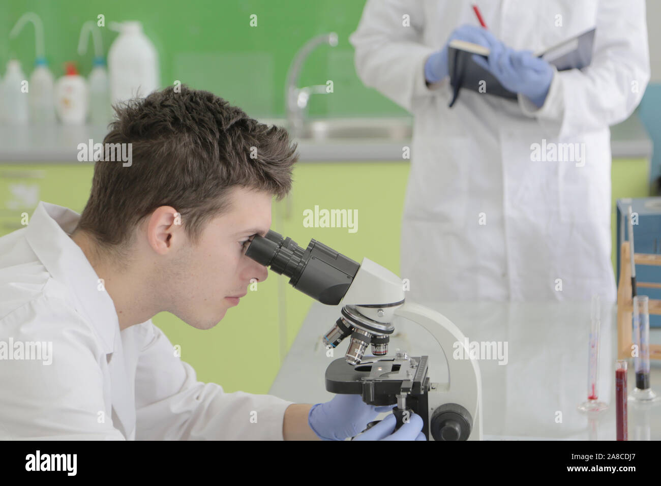 Two Young male Laboratory scientists working at lab with test tubes and ...