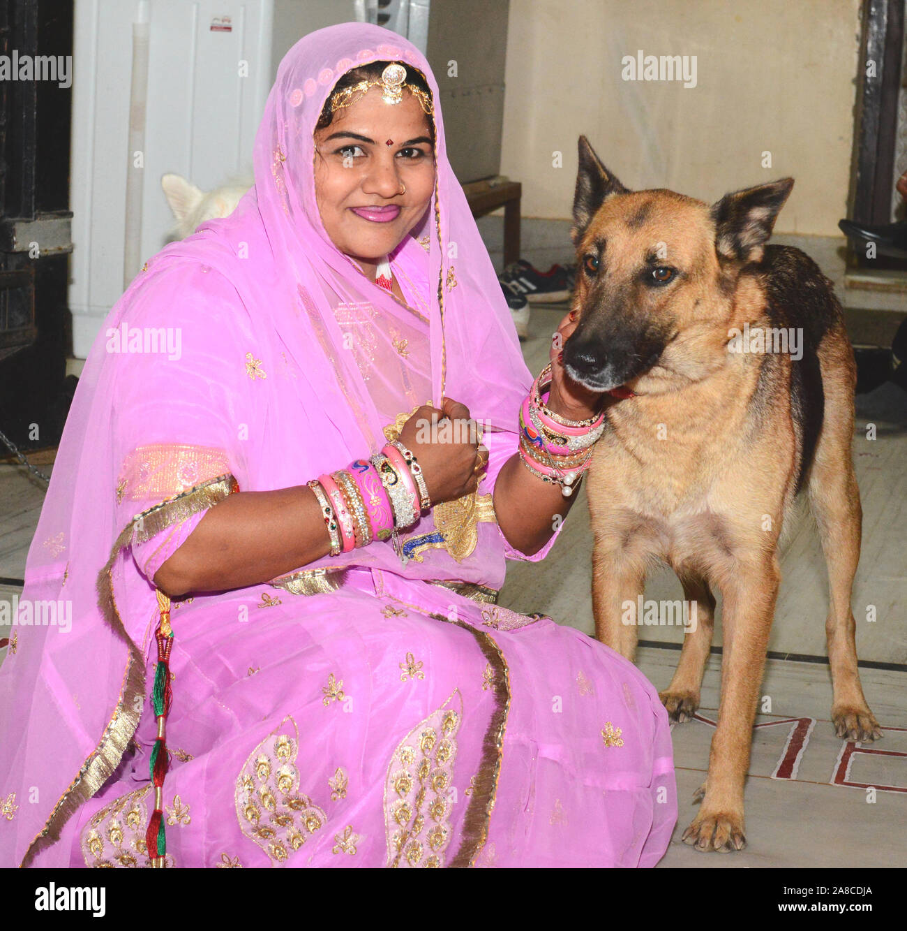 Ladies holding dogs hi-res stock photography and images - Alamy