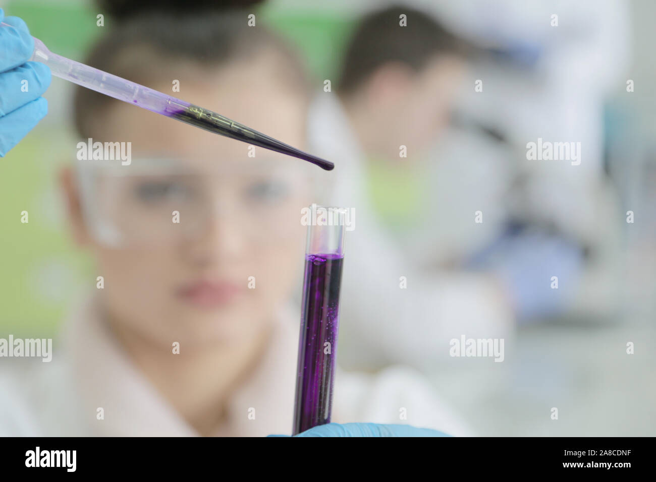 Two Young Female and male Laboratory scientists working at lab with ...