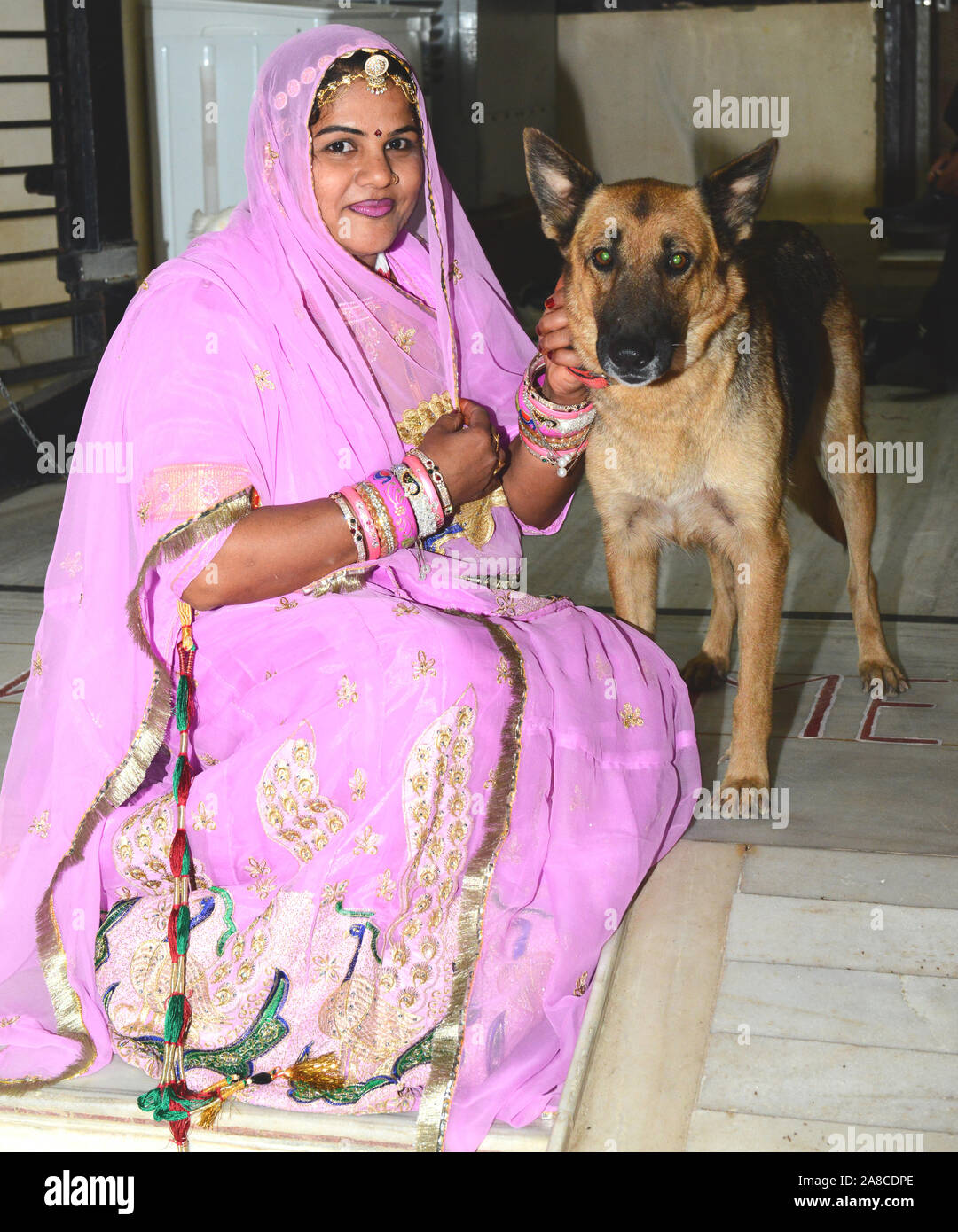 Beautiful photo of lovely indian lady with her lovely dog. Dogs have ...