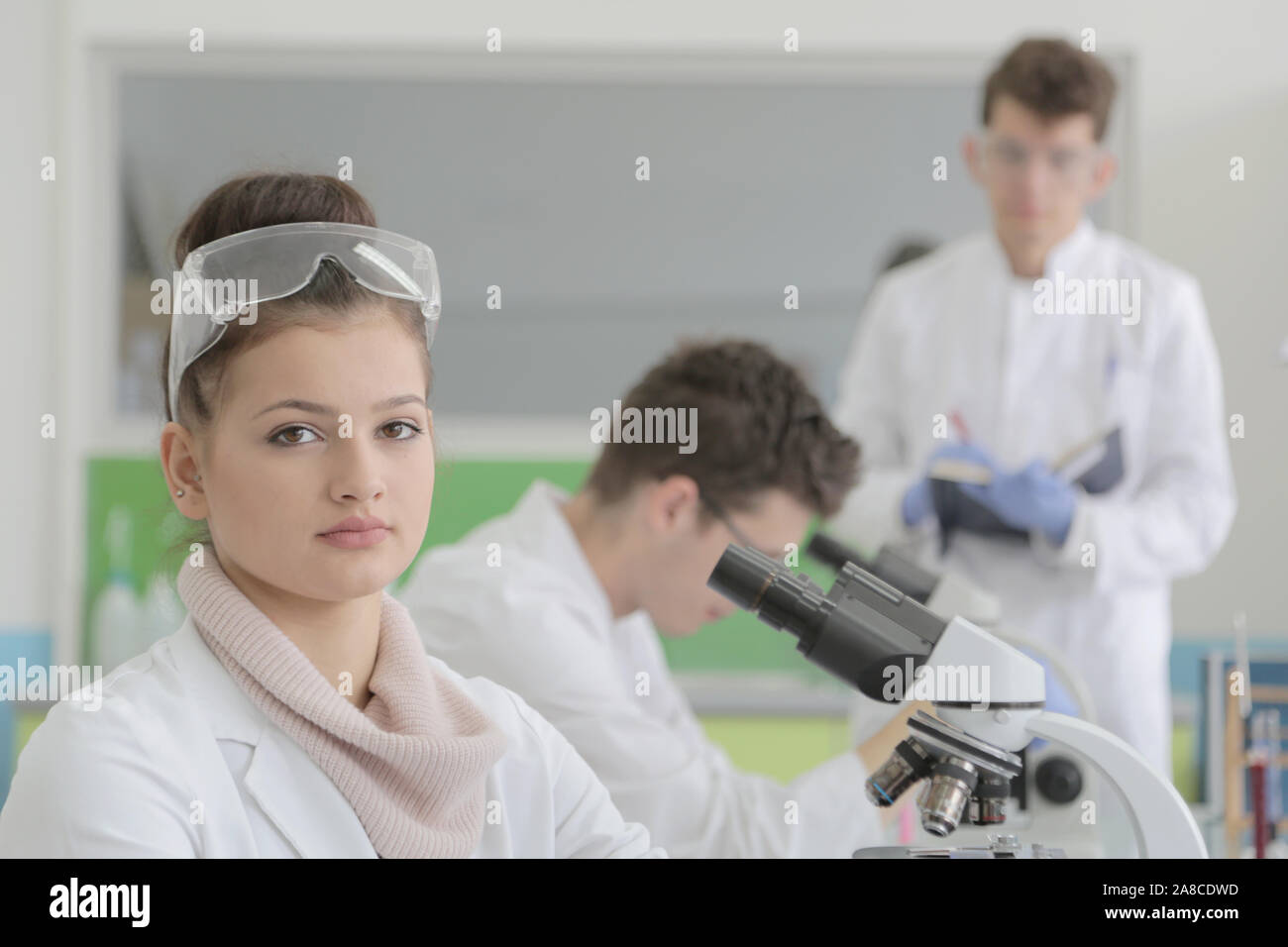 Group of young Laboratory scientists working at lab with test tubes and ...