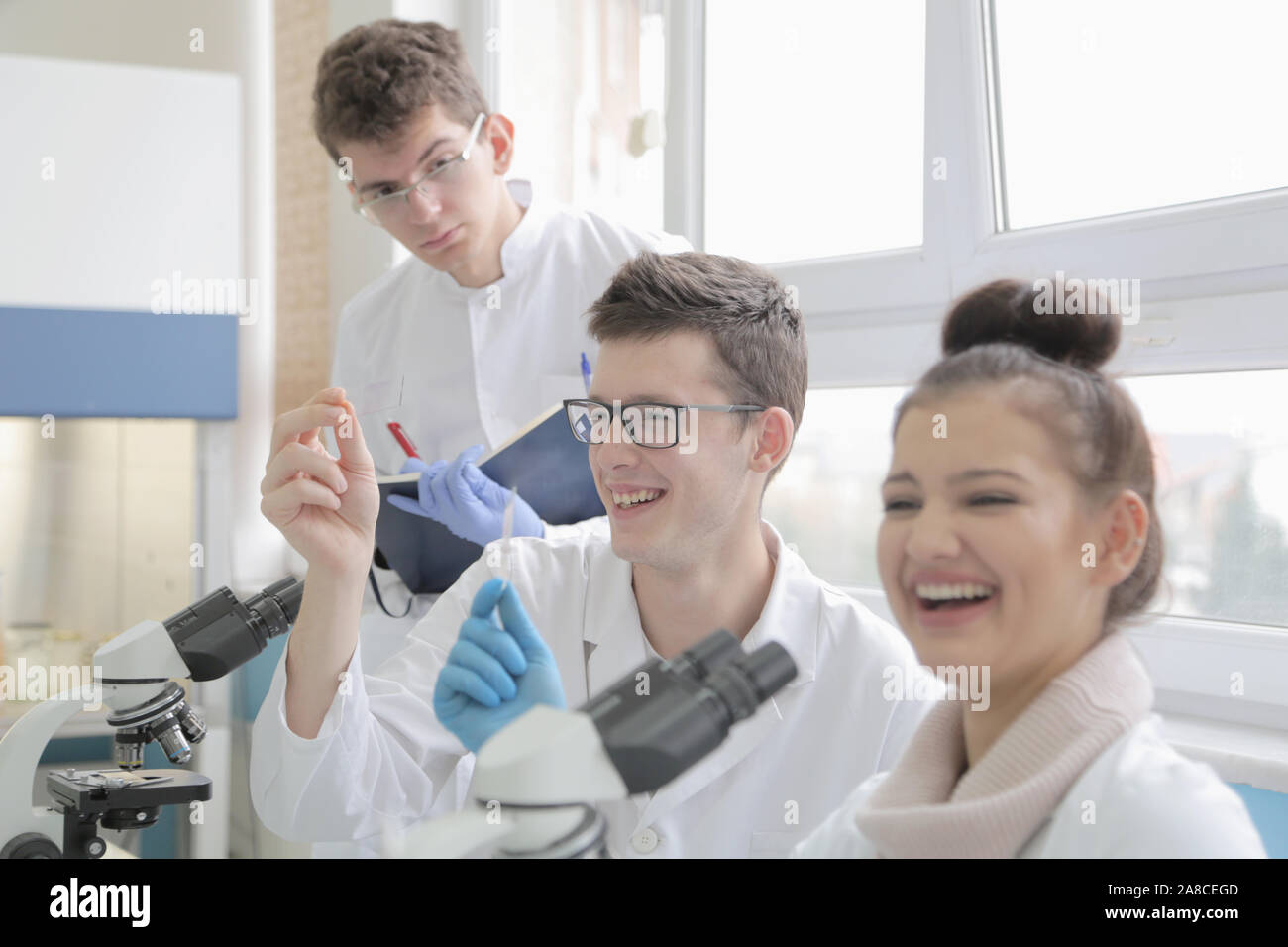 Group of young Laboratory scientists working at lab with test tubes and ...
