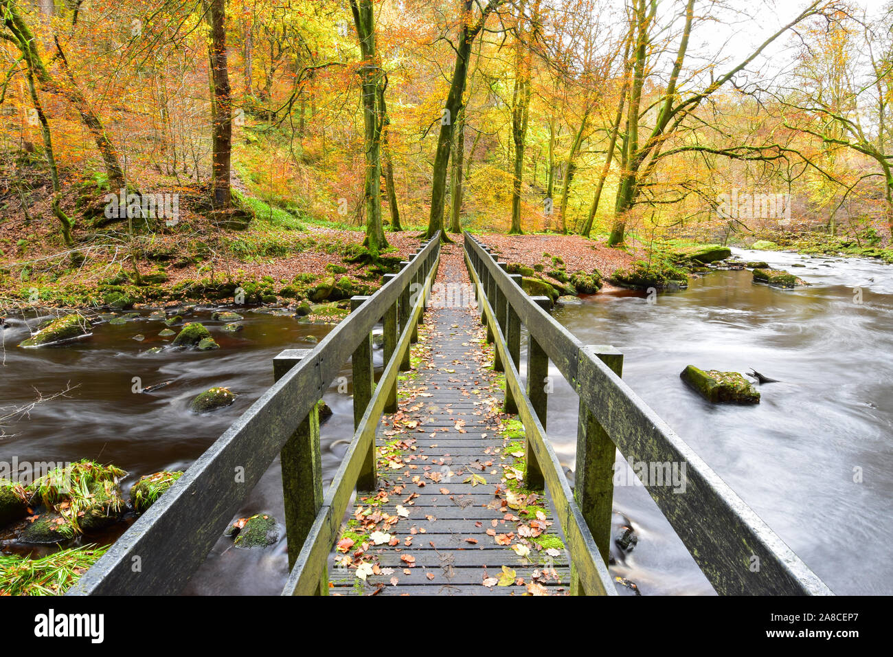 Autumn in Hardcastle Crags, Hebden Bridge, West Yorkshire Stock Photo ...