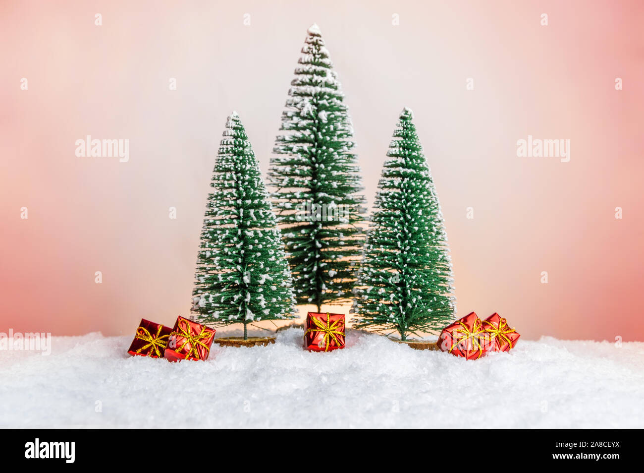 Christmas tree coral hi-res stock photography and images - Alamy
