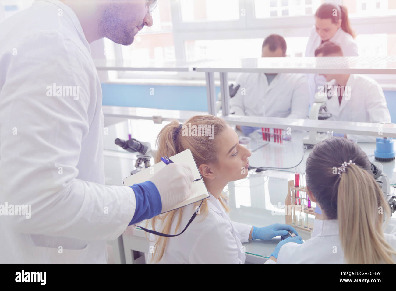 Group of young Laboratory scientists working at lab with test tubes and ...