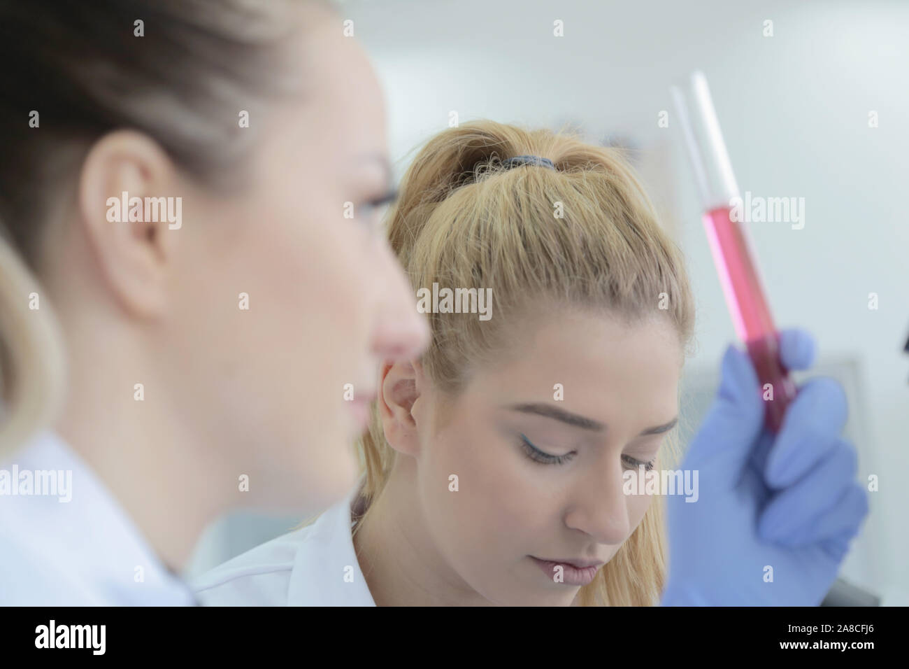 Two young Laboratory scientists working at lab with test tubes and ...