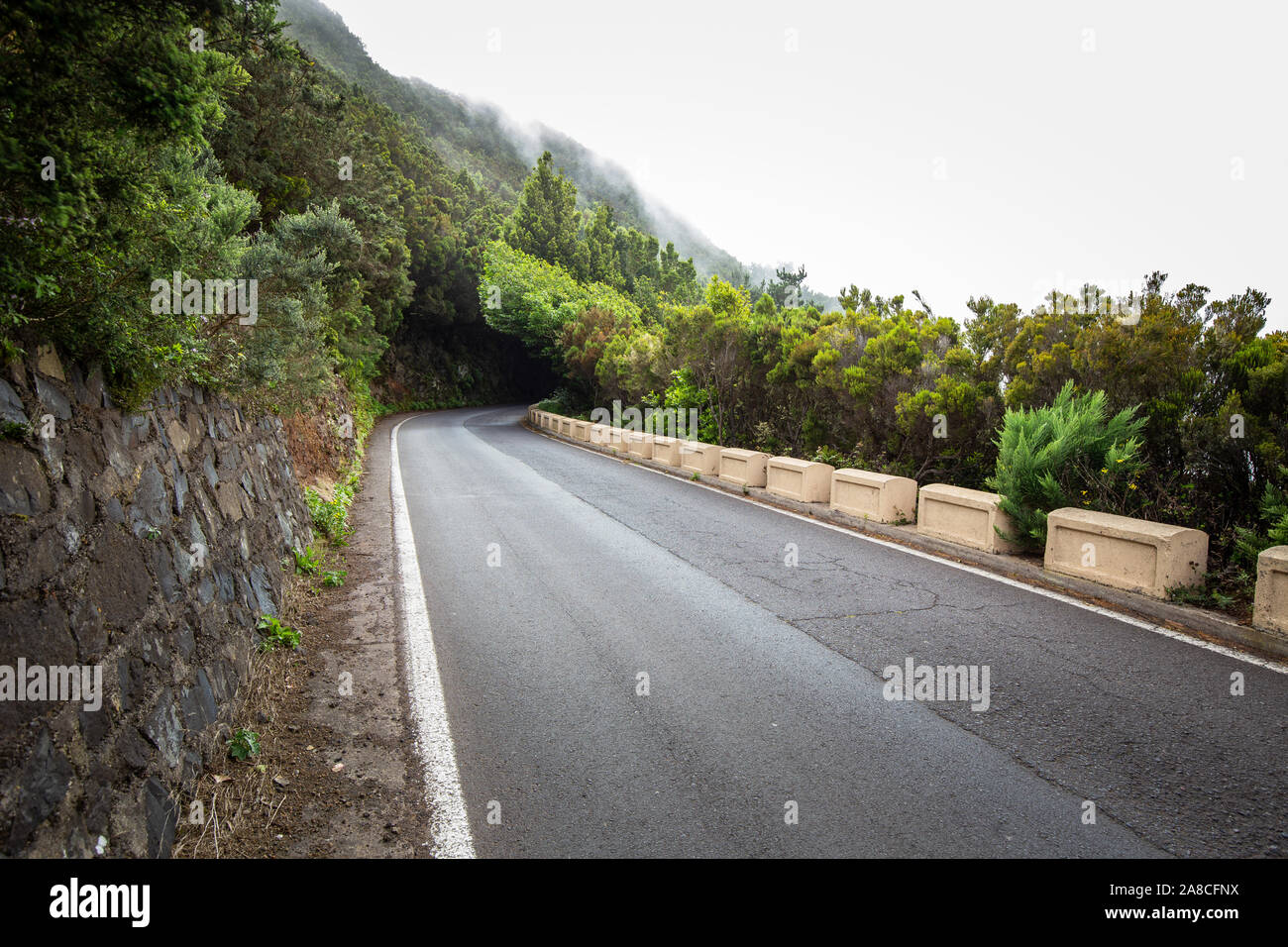 Picturesque road in Anaga park in Tenerife. Beautiful road through ...