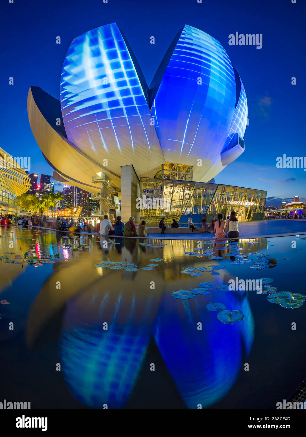 SINGAPORE CITY, SINGAPORE: FEBRUARY 5, 2019: Ilight show ate the Art ...