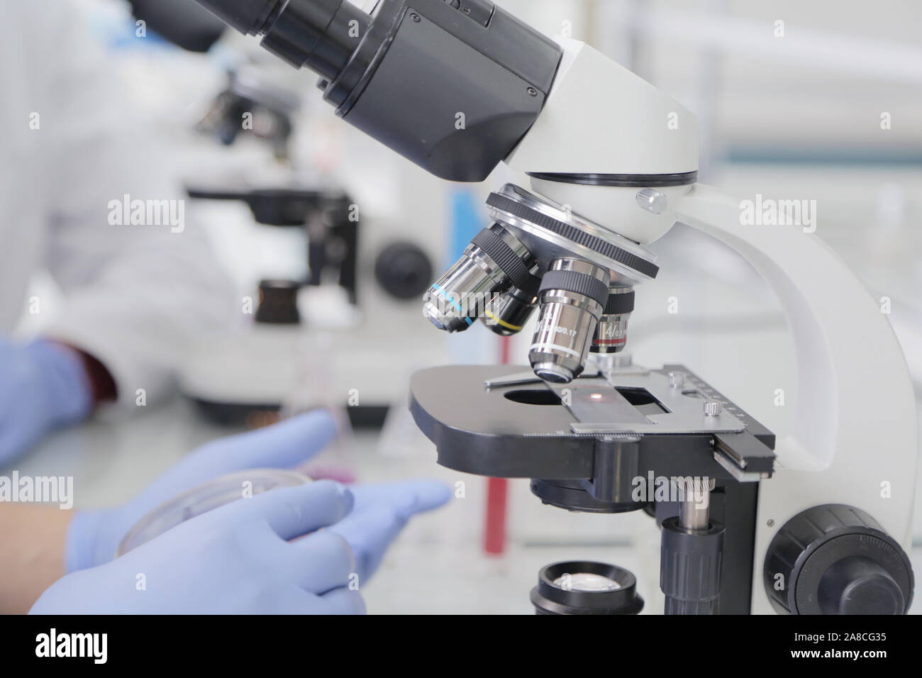 Two young Laboratory scientists working at lab with test tubes and ...