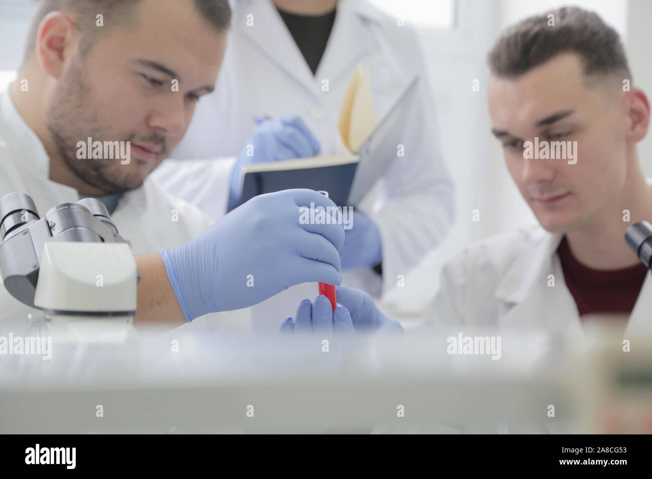 Group of young Laboratory scientists working at lab with test tubes and ...