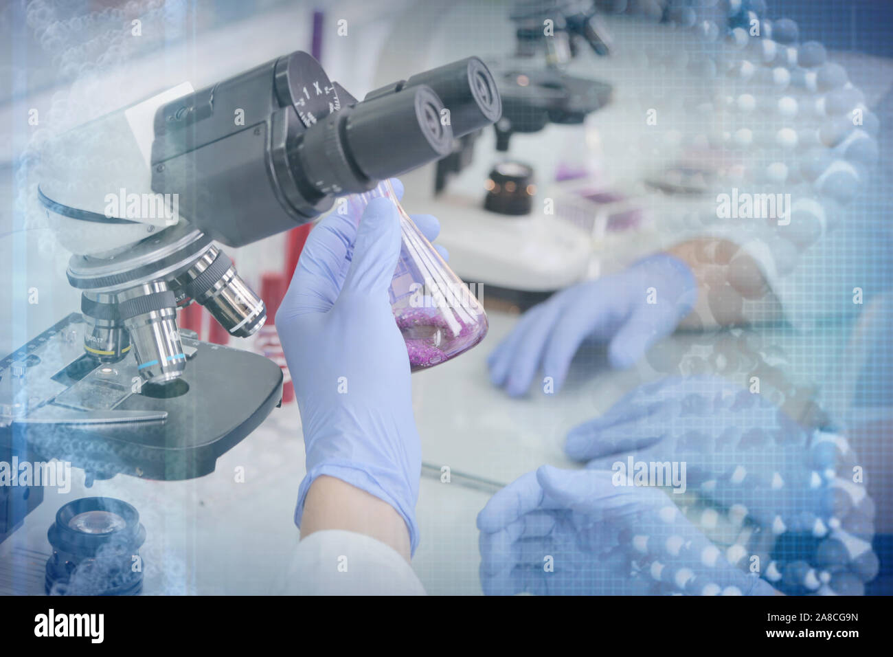 Two young Laboratory scientists working at lab with test tubes and ...