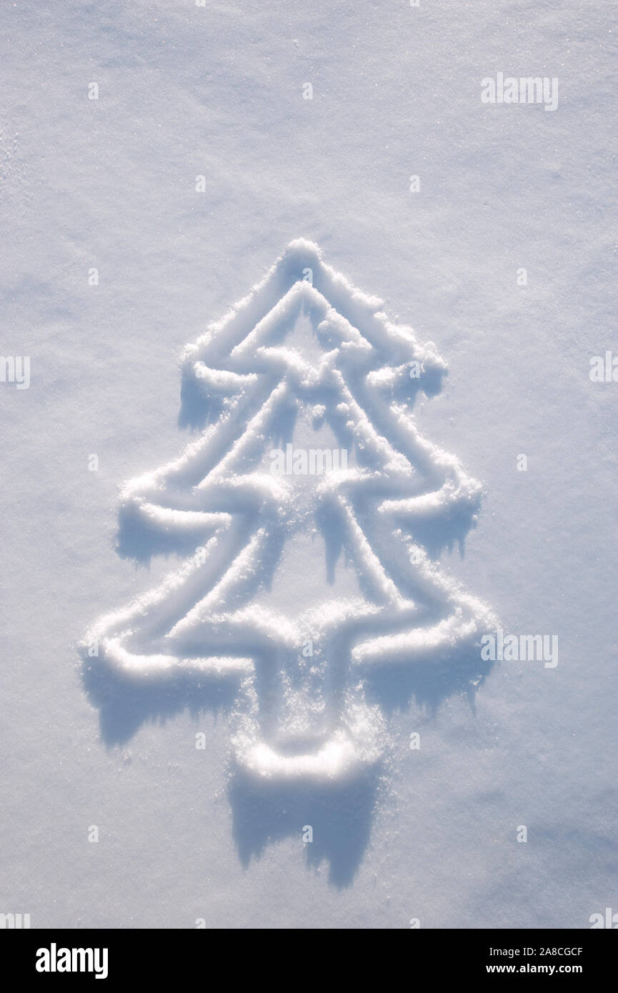 Simple textured Christmas tree drawn in fresh powder snow in bright ...