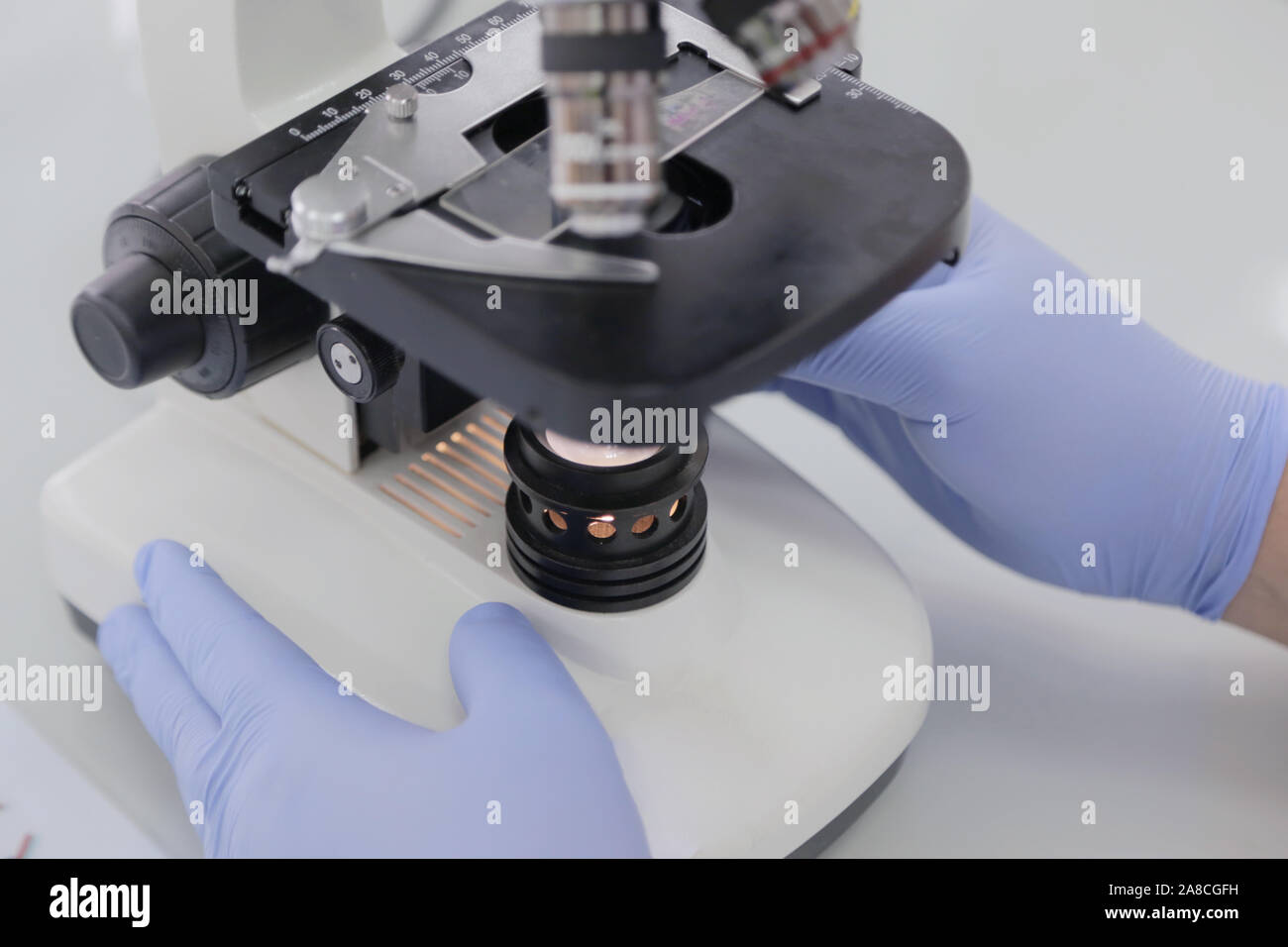 Young male Laboratory scientist working at lab with test tubes and ...