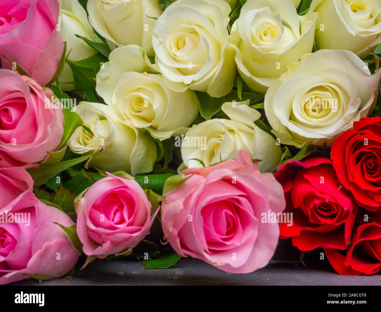Bouquet of colorful flowers, composition of multi-colored roses ...