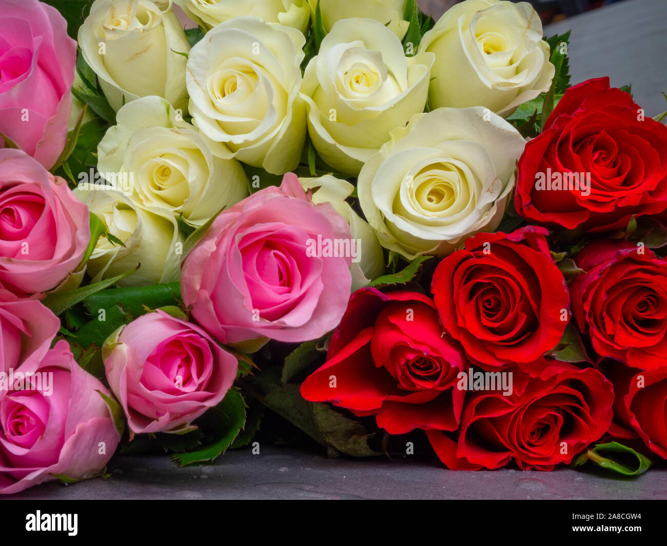 Different Color Roses High Resolution Stock Photography and Images - Alamy