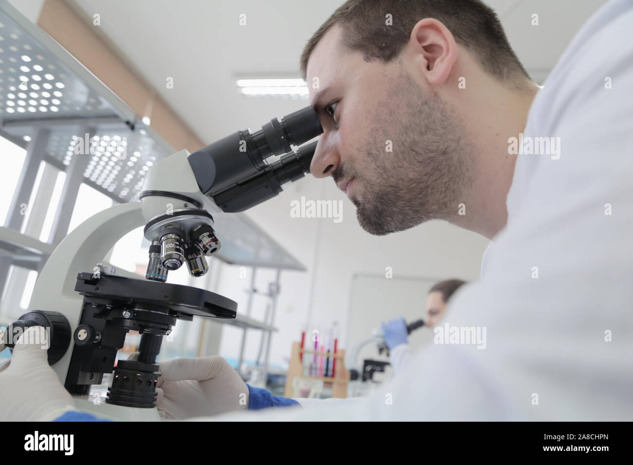 Two young Laboratory scientists working at lab with test tubes and ...
