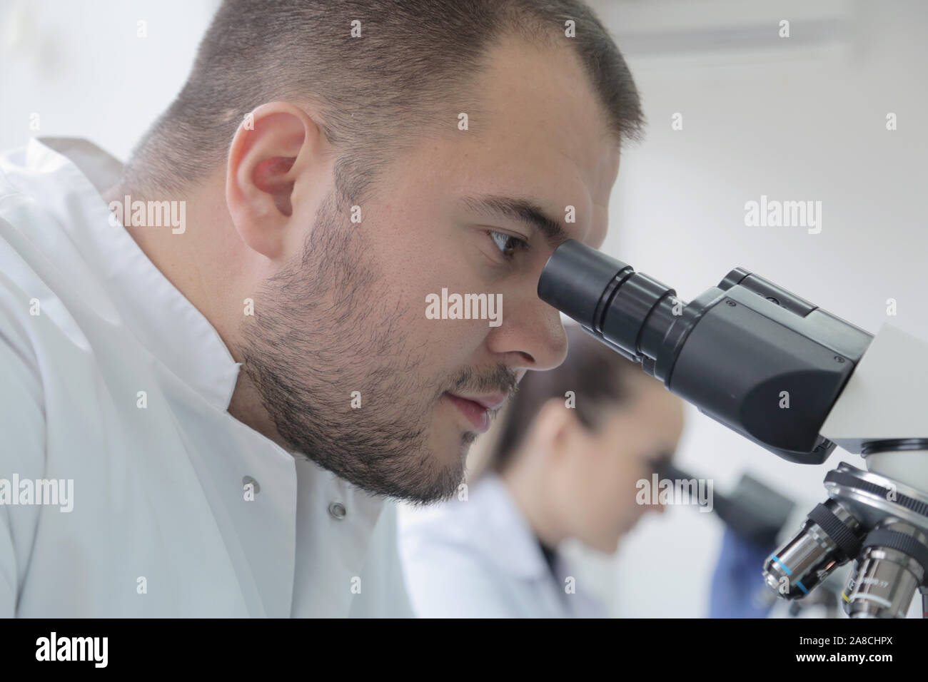 Two young Laboratory scientists working at lab with test tubes and ...