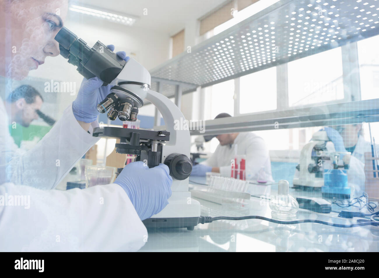 Group of young Laboratory scientists working at lab with test tubes and ...