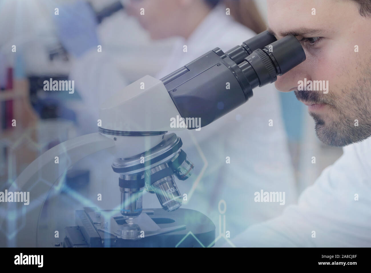 Two young Laboratory scientists working at lab with test tubes and ...