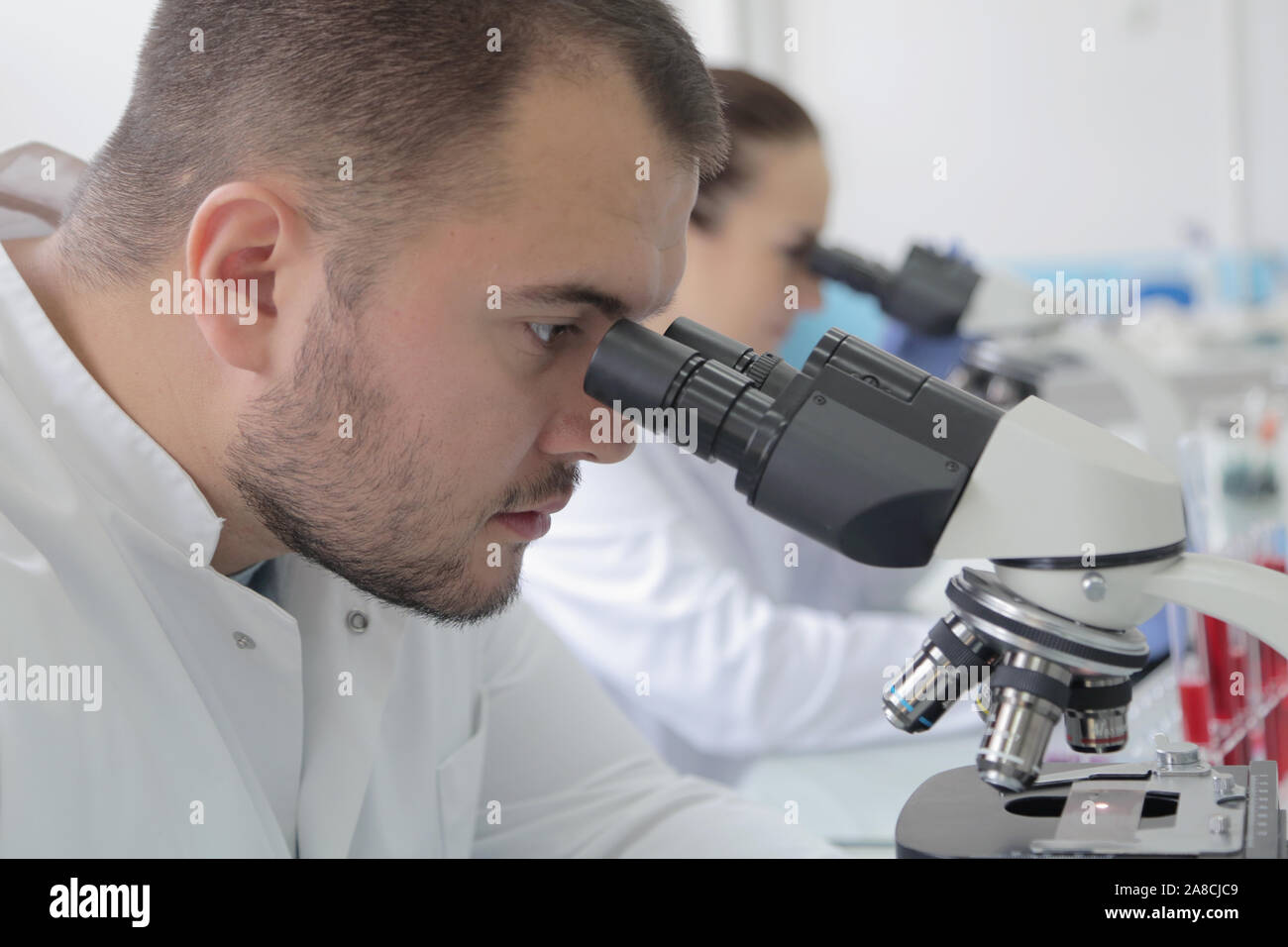 Two young Laboratory scientists working at lab with test tubes and ...