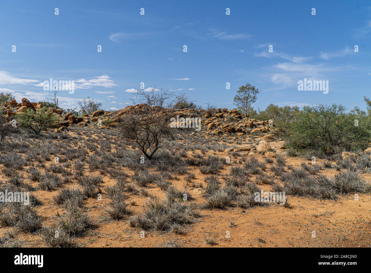 in the australian outback some dry bushes and grasses stand in the ...