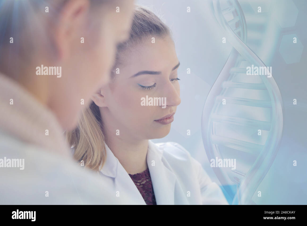Two young female Laboratory scientists working at lab with test tubes ...