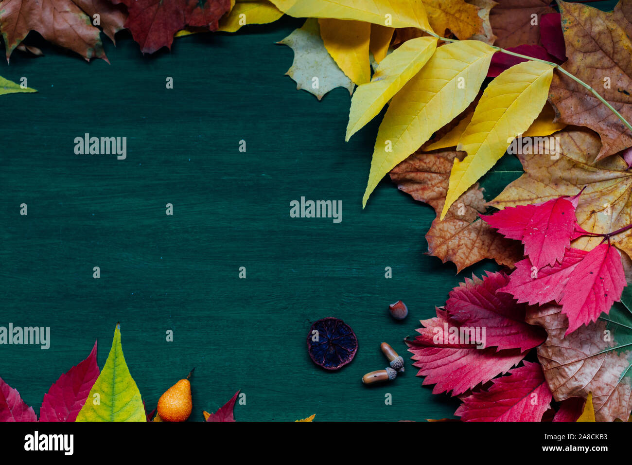 autumn background red and yellow fallen leaves place for inscription ...