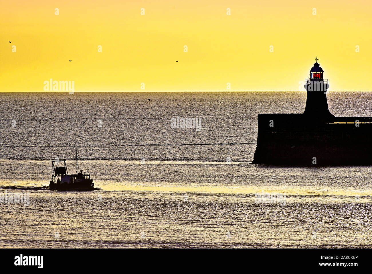 Rectangular shields hi-res stock photography and images - Alamy