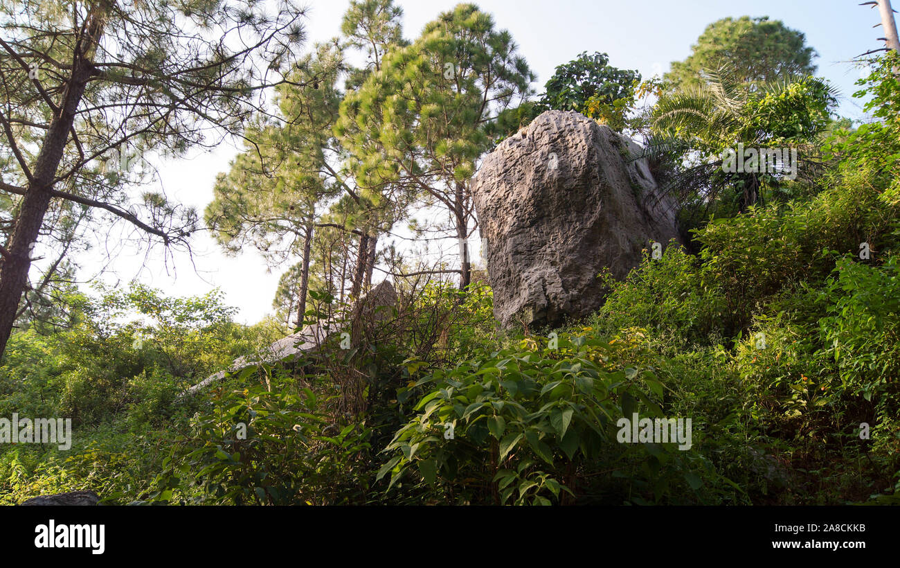 001 003 hi-res stock photography and images - Alamy