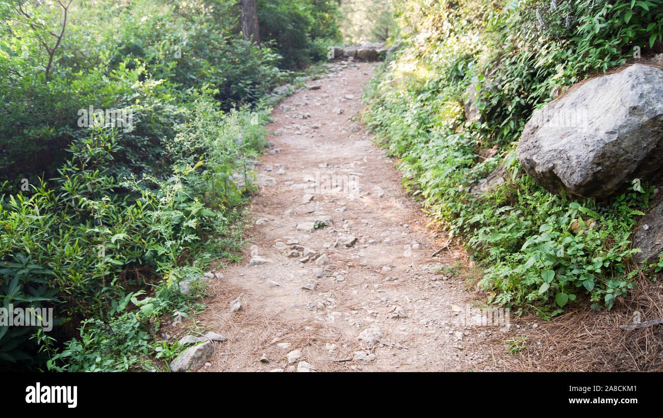 001 003 hi-res stock photography and images - Alamy