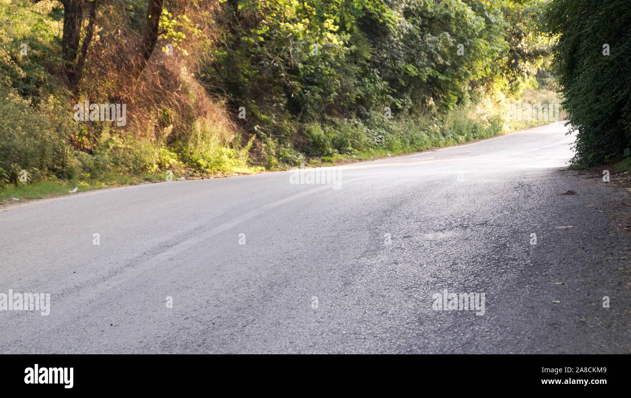 Paved road and rainforest hi-res stock photography and images - Alamy