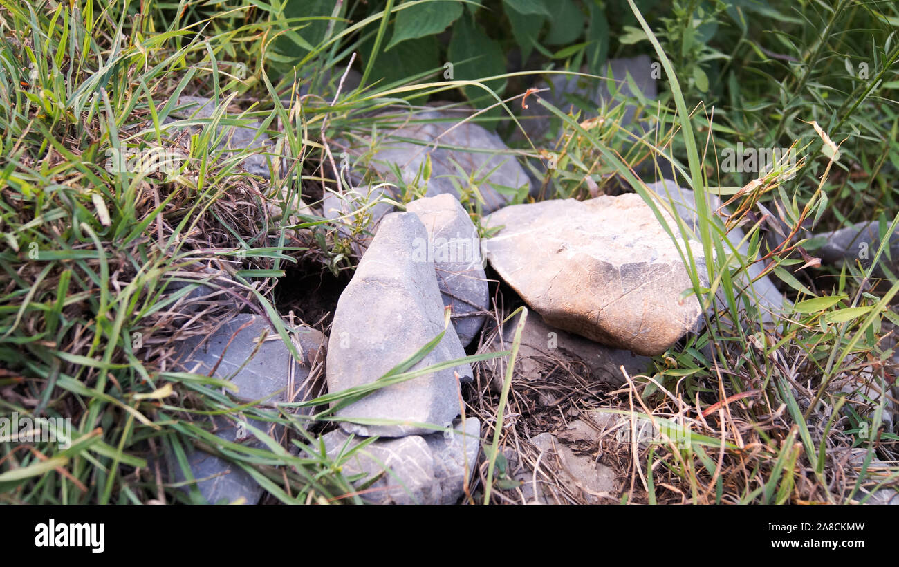 Decorative rocks in jungle background Stock Photo - Alamy