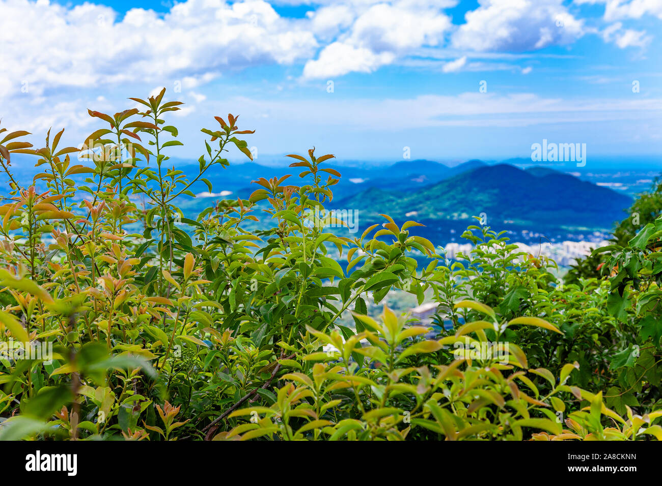 China Sanya Hainan Aireal Landscape View with blue sky and clouds Stock ...