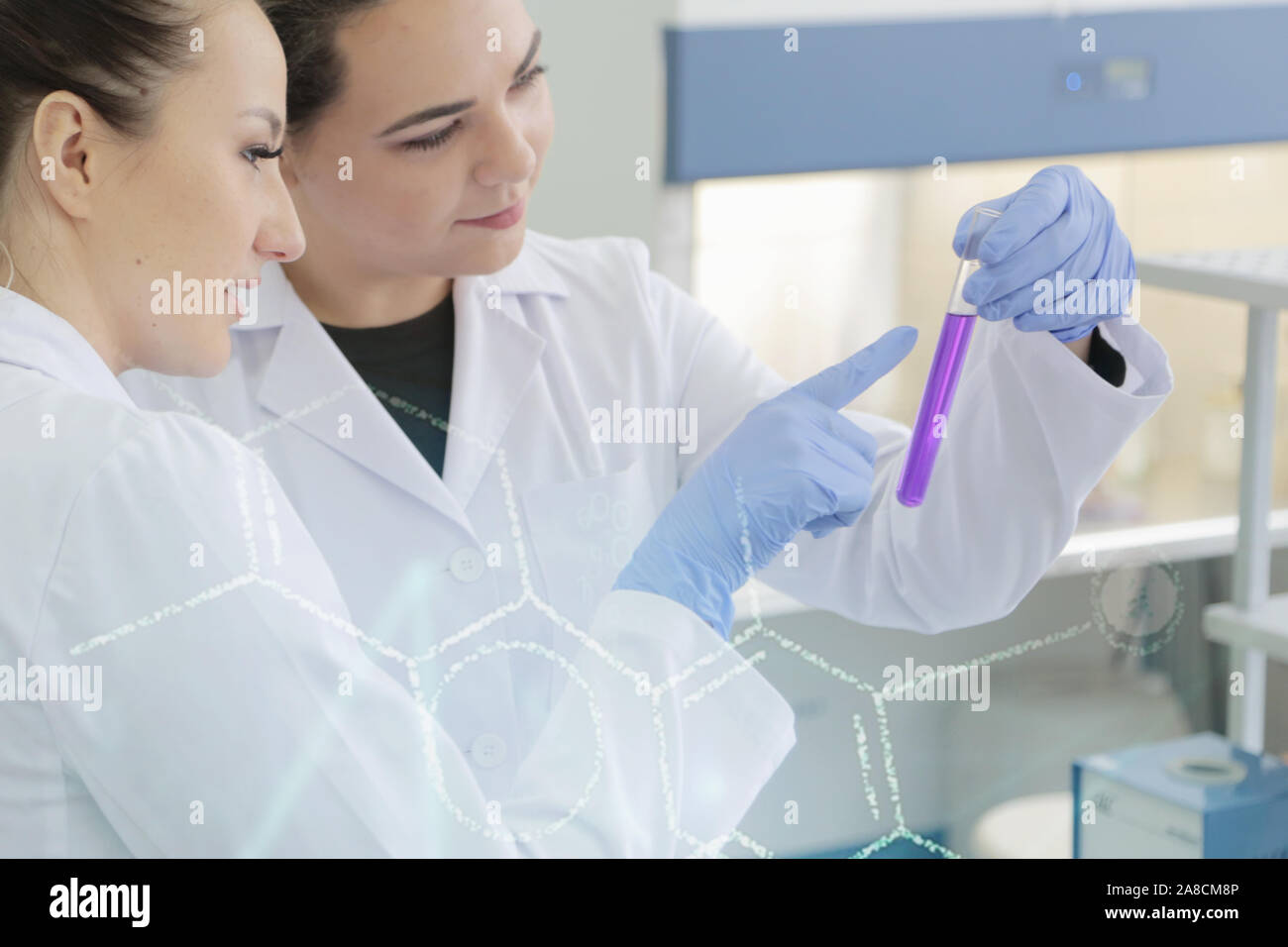 Two young female Laboratory scientists working at lab with test tubes ...