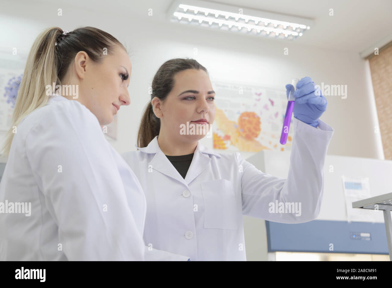 Two young female Laboratory scientists working at lab with test tubes ...