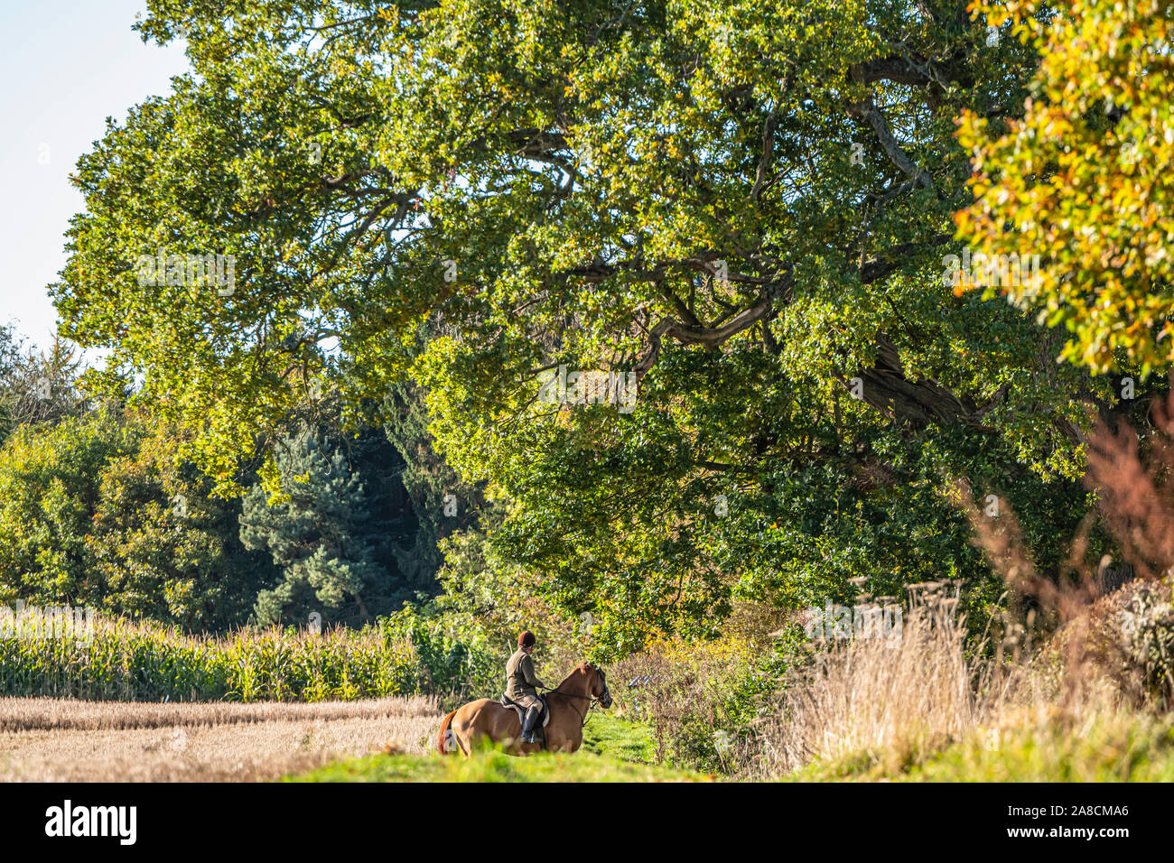 The Kelso Hunt In Scottish Borders High Resolution Stock Photography ...