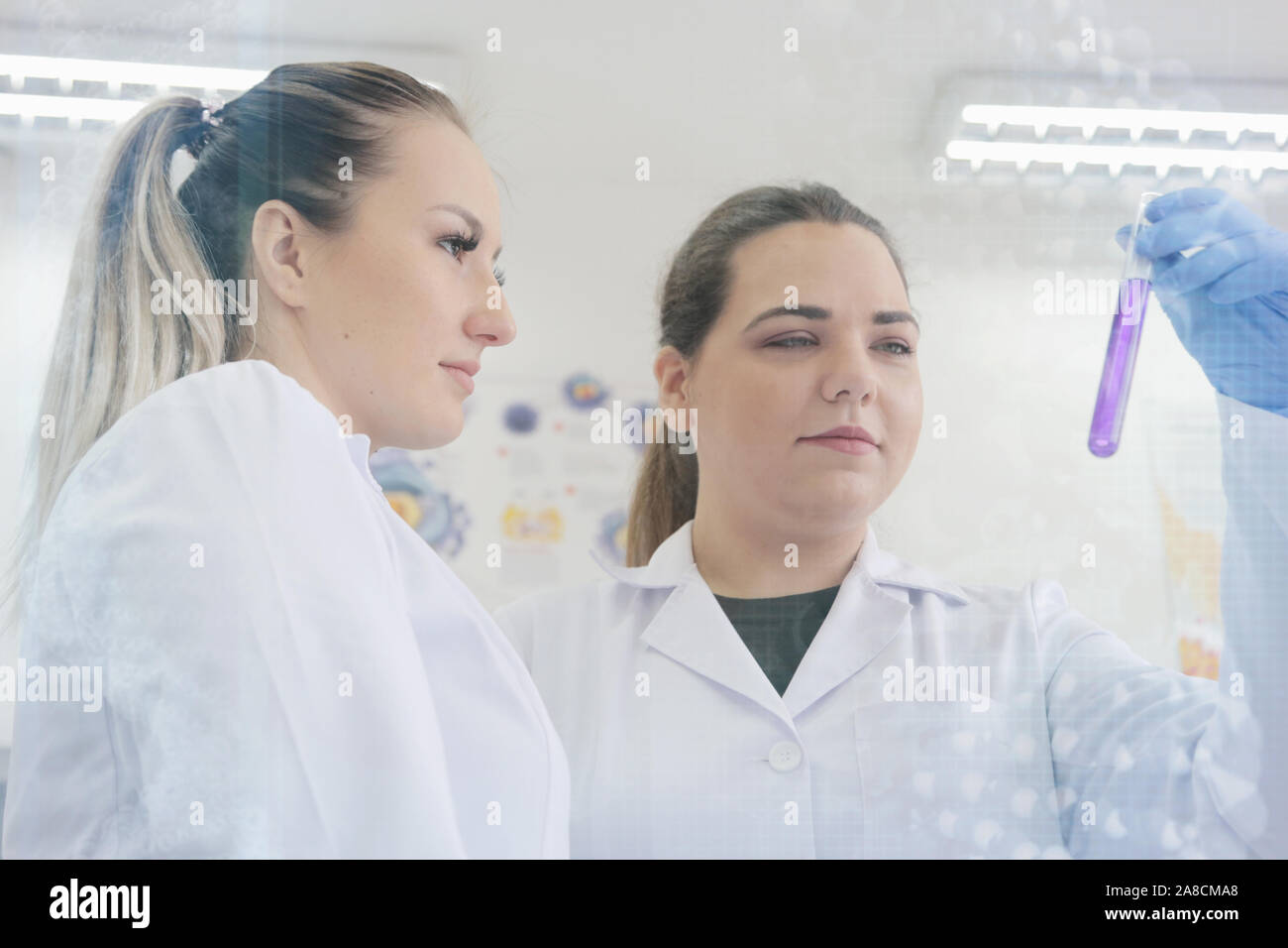 Two young female Laboratory scientists working at lab with test tubes ...
