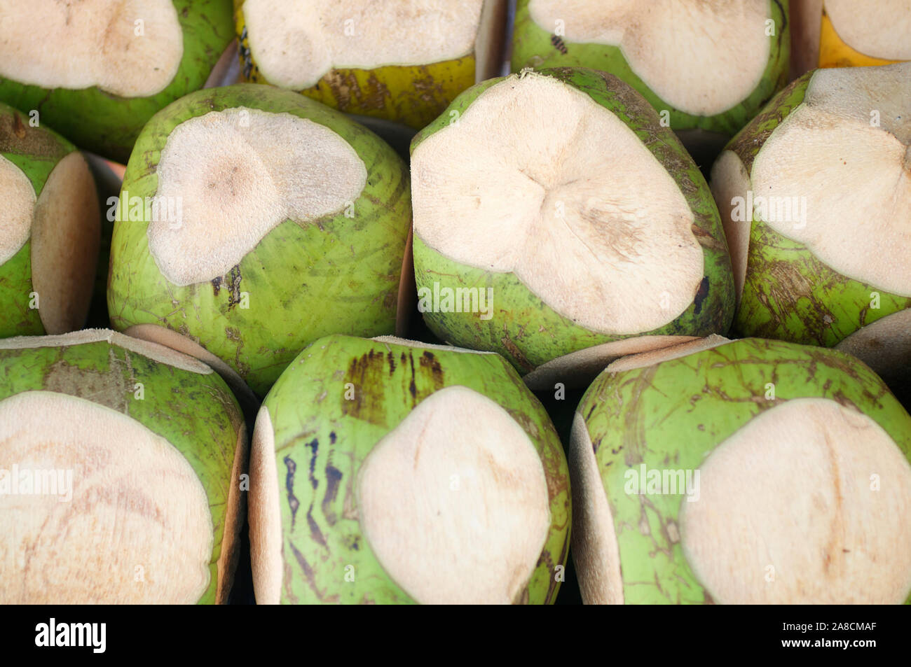 Stack of freshly young green coconuts pre-cut for sale as coconut water ...